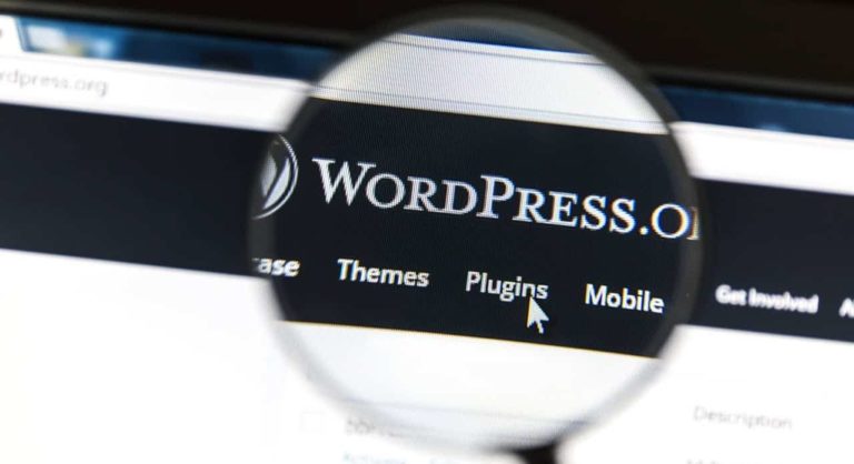Can I Build A WordPress Website Without Hosting Tweak Your Biz